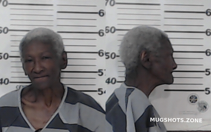 JOHNSON BARBARA GIVENS 04/03/2023 - Henderson County Mugshots Zone