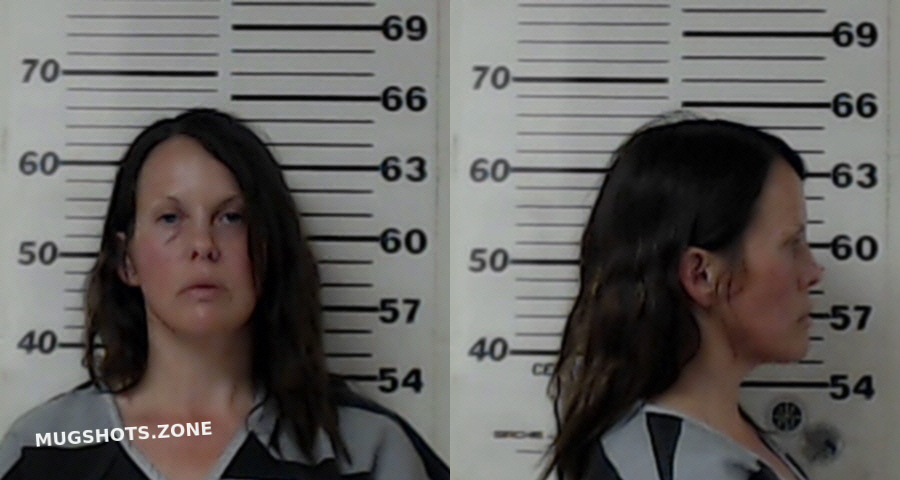 SCHMIDT PATTIE GAIL 04/09/2023 - Henderson County Mugshots Zone