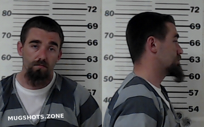 BROWN TYLER JIMMY RAY 04/11/2023 - Henderson County Mugshots Zone
