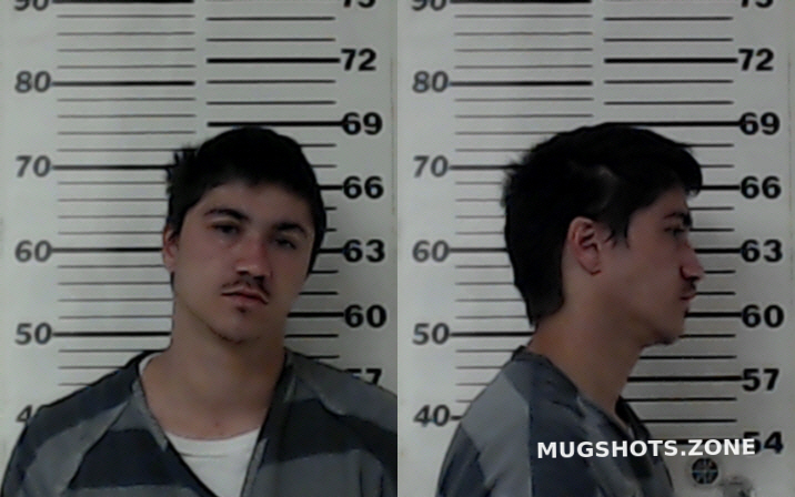 MANIOS JOHNNY MITCHELL 04/11/2023 - Henderson County Mugshots Zone