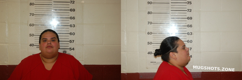 MORENO MICHAELA APRIL 05/05/2023 - Henderson County Mugshots Zone