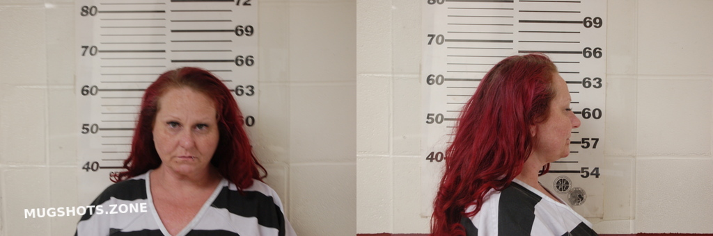 FANN AMY DENISE 05/08/2023 - Henderson County Mugshots Zone