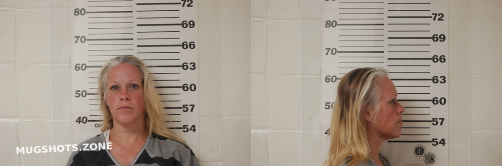 CORRELL AMY ELIZABETH 06/12/2023 - Henderson County Mugshots Zone