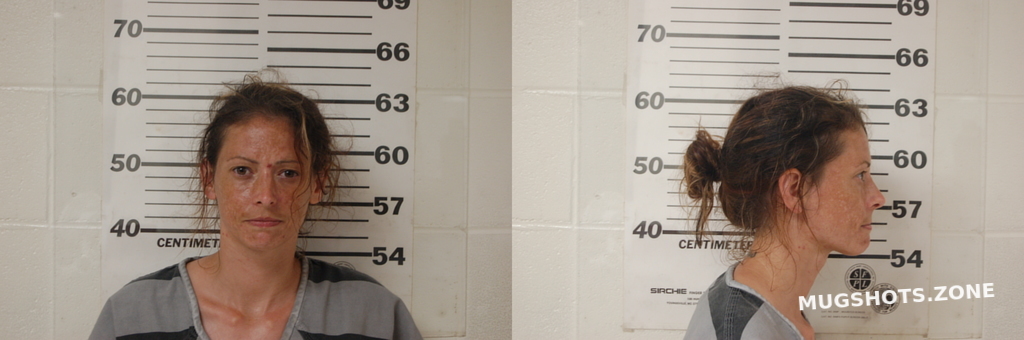 RIGGINS MANDY NICHOLE 06/17/2023 - Henderson County Mugshots Zone