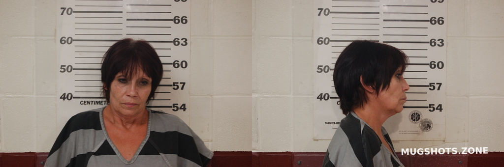 STOKES CONNIE LORAINE 06/20/2023 - Henderson County Mugshots Zone