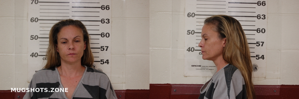 HAYDIN TRACY MARIE 07/09/2023 - Henderson County Mugshots Zone