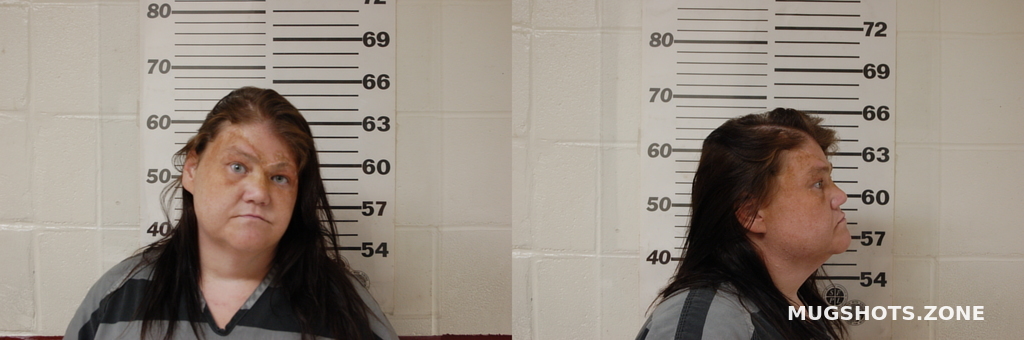 IVEY HEATHER MICHELLE 07/24/2023 - Henderson County Mugshots Zone