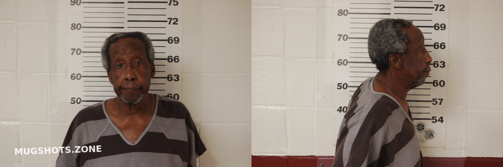 REDIC DON ELBERT 08/04/2023 - Henderson County Mugshots Zone