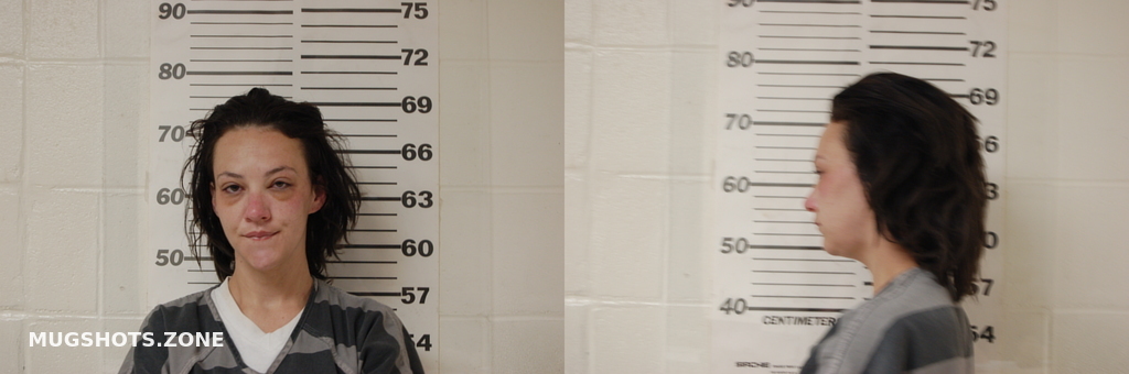 DOVER ASHLEY FAYE 08/08/2023 - Henderson County Mugshots Zone