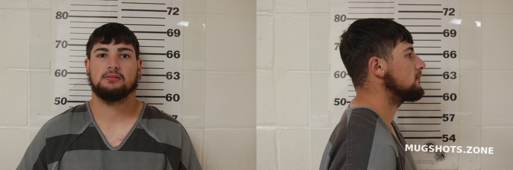 PROFITT JACOB MATTHEW 08/09/2023 - Henderson County Mugshots Zone