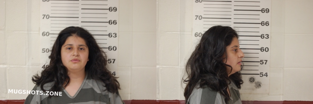 MEJIA ALEXIA 08/14/2023 - Henderson County Mugshots Zone