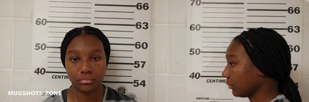 HURD BAYLEE ELISE 08/16/2023 - Henderson County Mugshots Zone