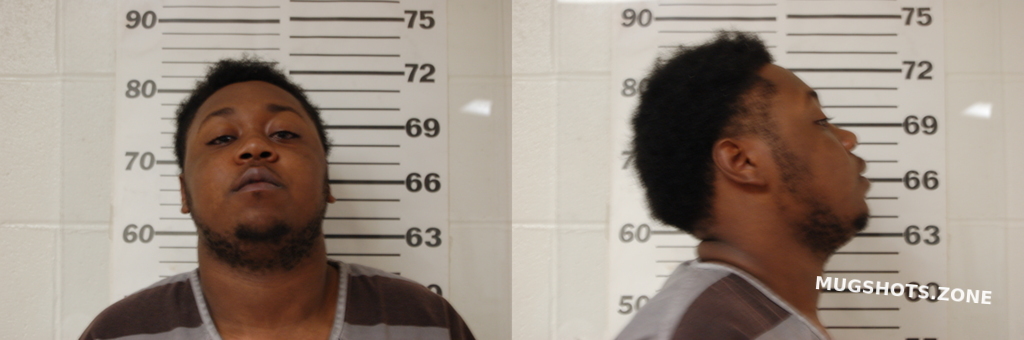 WHITE DELANDON TRE'SHAUN 08/19/2023 - Henderson County Mugshots Zone