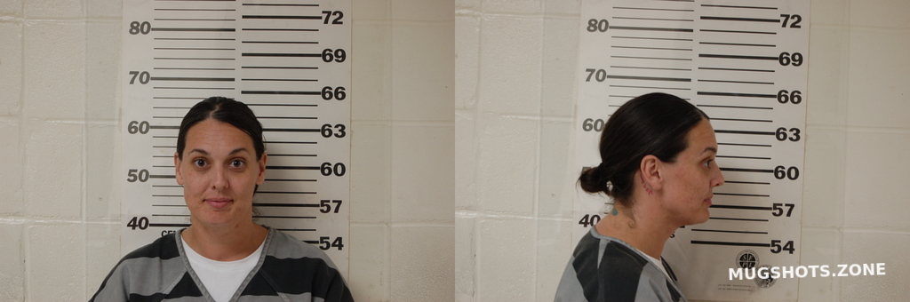 RIOS JESSICA ANN 08/22/2023 - Henderson County Mugshots Zone