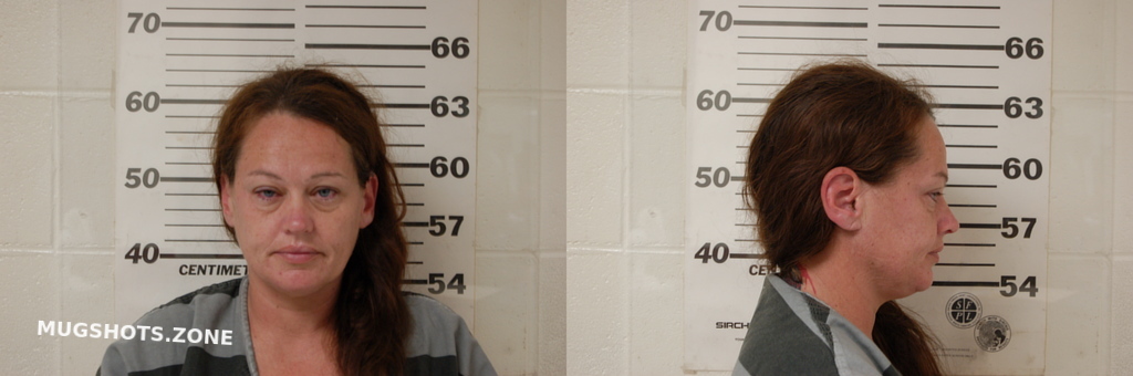 WHITE NATASHA ASHLEY 09/13/2023 - Henderson County Mugshots Zone