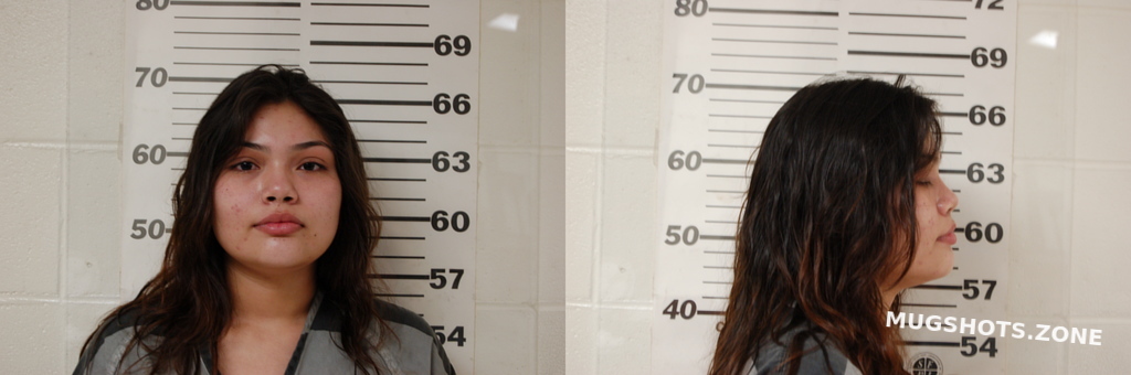 RODRIGUEZ ANGELI MARIE 09/22/2023 - Henderson County Mugshots Zone