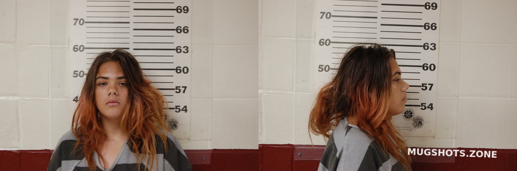 PHILLIPS MEAGHAN 09/24/2023 - Henderson County Mugshots Zone