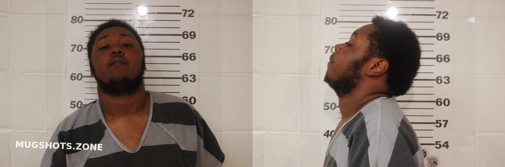 WHITE DELANDON TRE'SHAUN 10/11/2023 - Henderson County Mugshots Zone