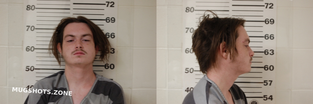 HARMS JAMES MORGAN 10/20/2023 - Henderson County Mugshots Zone