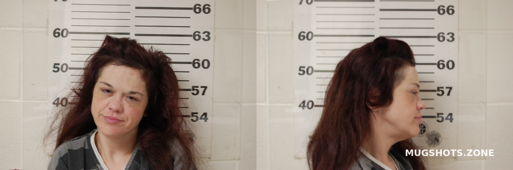 BICE AMBER LATRELLE 10/26/2023 - Henderson County Mugshots Zone