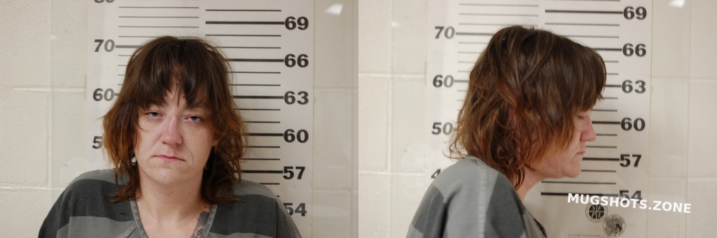 BINGHAM HOLLY RENEE 11/04/2023 - Henderson County Mugshots Zone