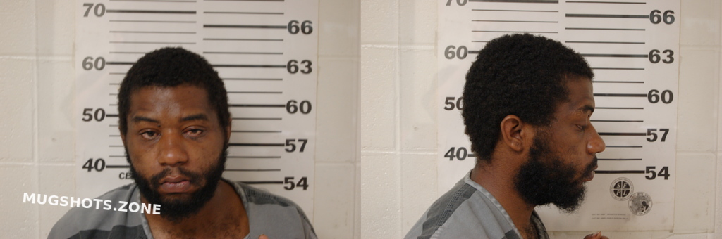 LEWIS DEON DON SHATE 11/17/2023 - Henderson County Mugshots Zone