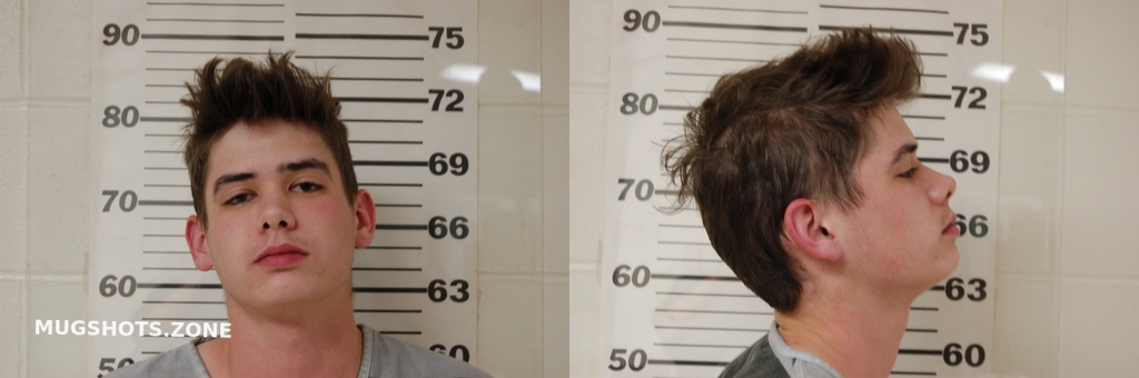 LUMAN BRYAN MICHAEL 11/18/2023 - Henderson County Mugshots Zone