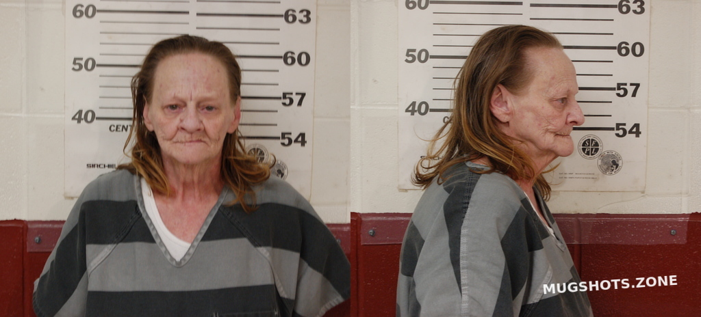 WALTERS IRIS LONG 11/27/2023 - Henderson County Mugshots Zone