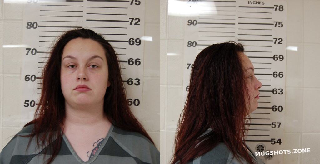 TAYLOR MORGAN RAY 12/14/2023 - Henderson County Mugshots Zone