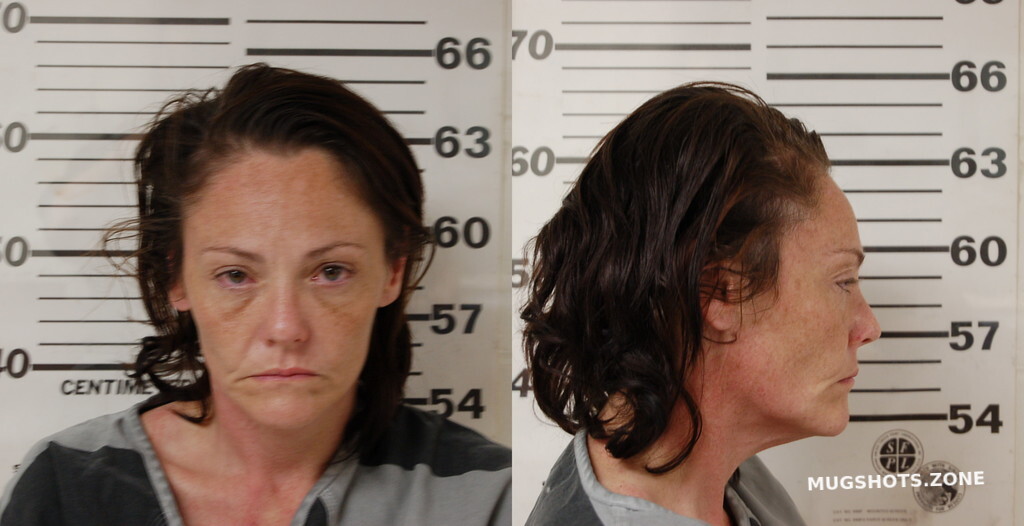 SIMMONS PATRICIA ANN 12/21/2023 - Henderson County Mugshots Zone