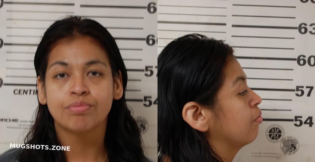 SEVILLA CYNTHIA ANN 12/21/2023 - Henderson County Mugshots Zone