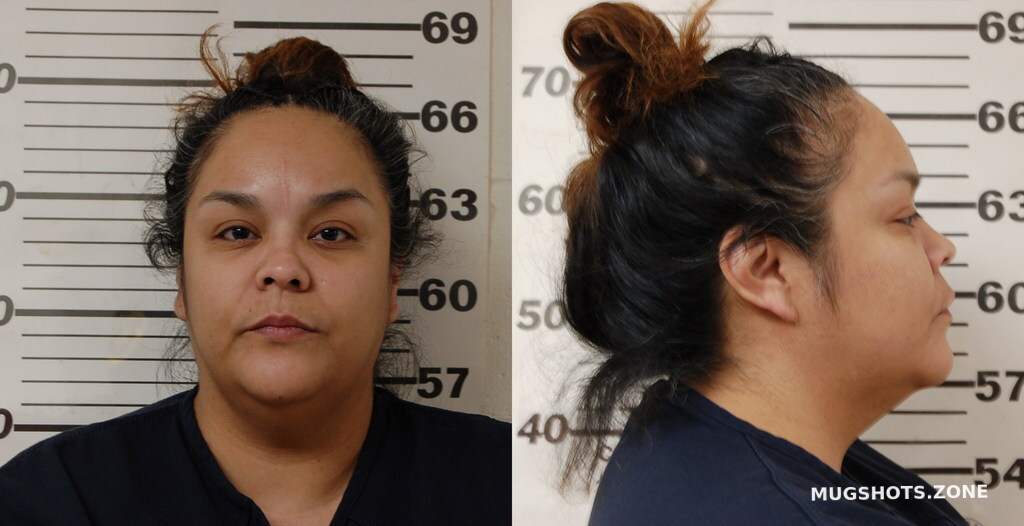 TOBIAS AMBER VERONICA 01/12/2024 - Henderson County Mugshots Zone