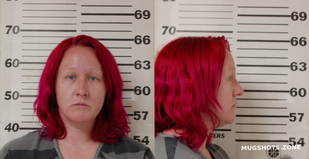 PROCTOR NATALIE J 01/25/2024 - Henderson County Mugshots Zone
