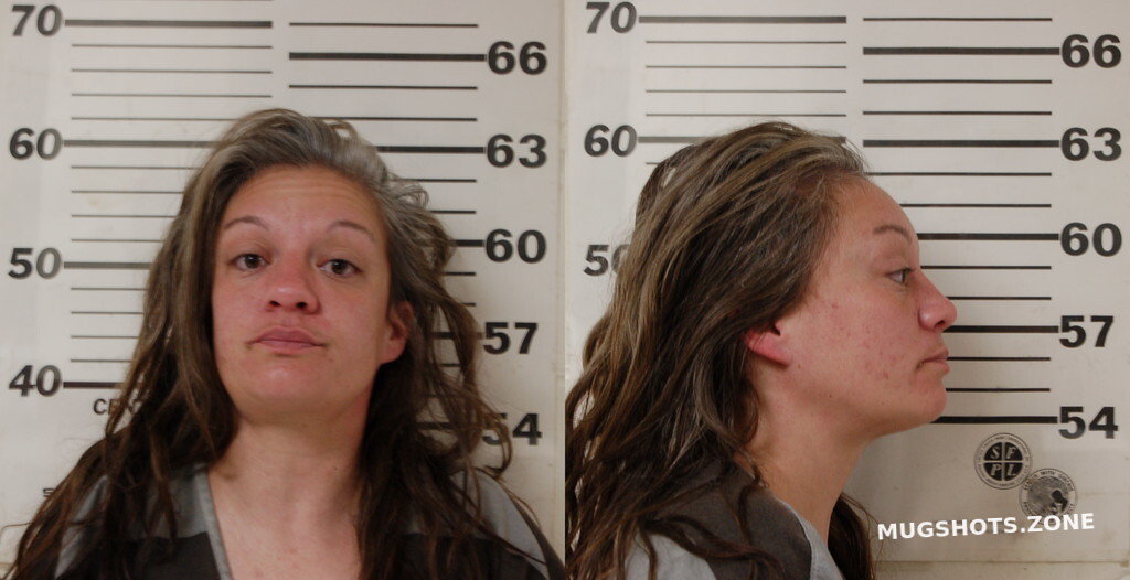 WHITELEY HOLLY FAY 02/07/2024 - Henderson County Mugshots Zone