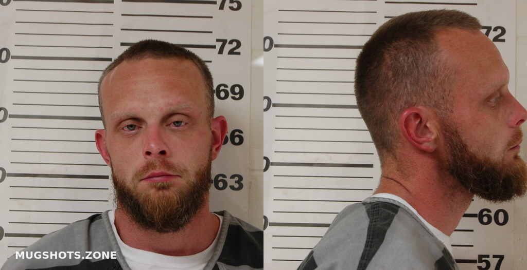 WALKER EDWIN LEE JR. 02/10/2024 - Henderson County Mugshots Zone