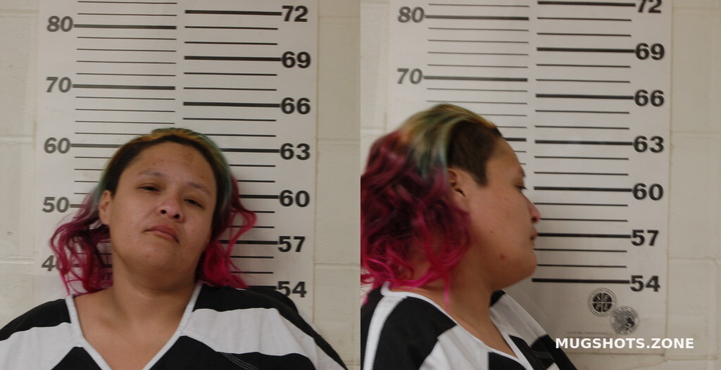 DE LOS SANTOS MARIA ELVIA 02/14/2024 - Henderson County Mugshots Zone