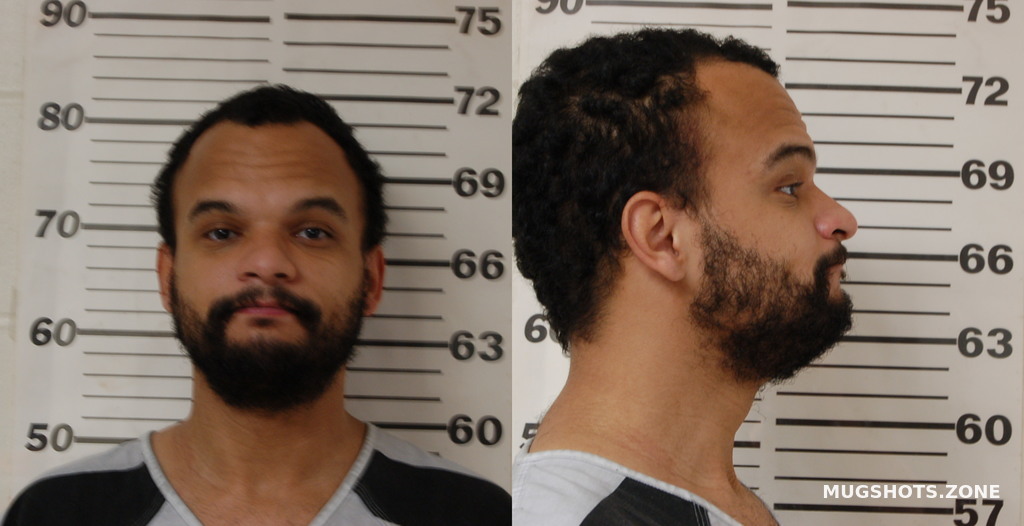 PACE JAMES ALAN 02/15/2024 - Henderson County Mugshots Zone