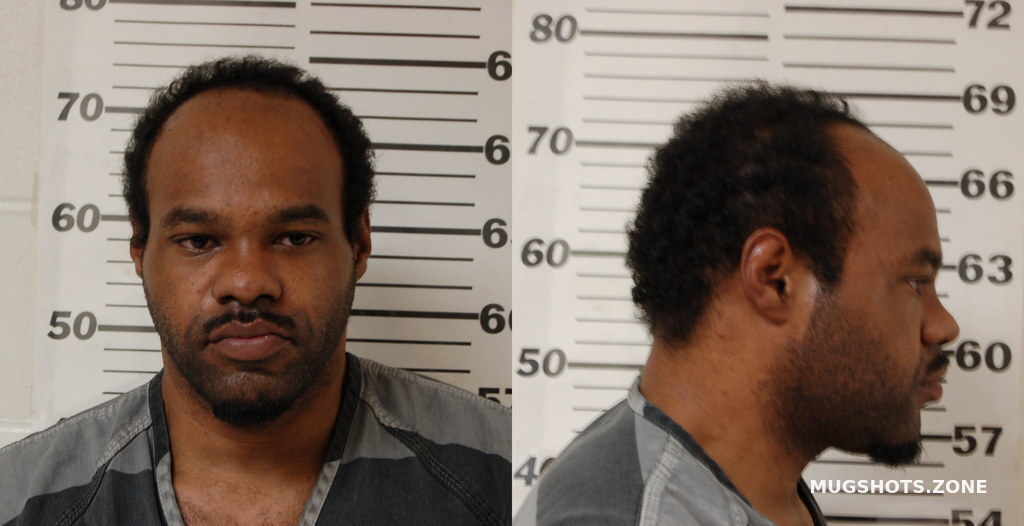 MCGEE TAI ELBERT 02/21/2024 - Henderson County Mugshots Zone