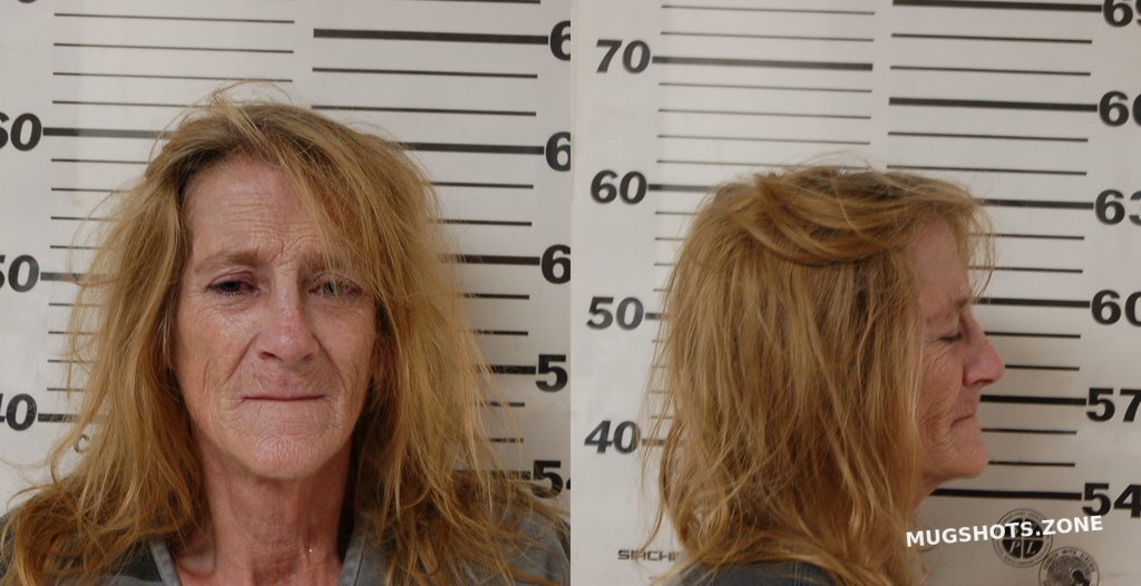 DAVIS-FITE CHERI LYNN 02/26/2024 - Henderson County Mugshots Zone