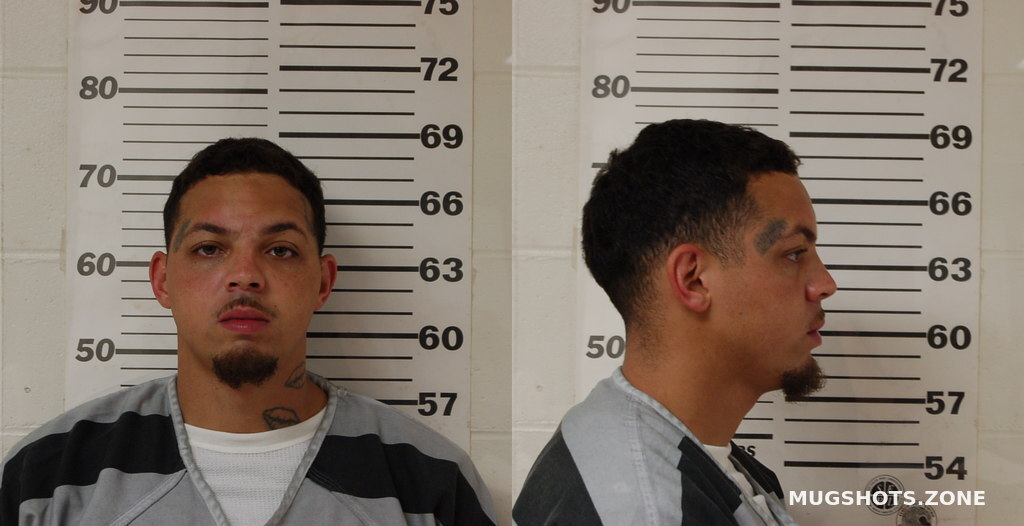 DUKE MICHAEL KEITH 03/12/2024 - Henderson County Mugshots Zone