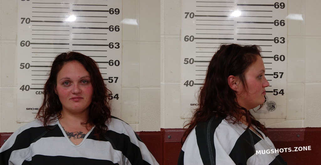 BOMAN MICHELLE BROOKE 03/25/2024 - Henderson County Mugshots Zone