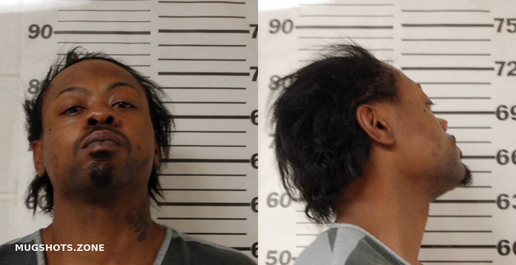 LEWIS CARLETON DEMOND 04/03/2024 - Henderson County Mugshots Zone