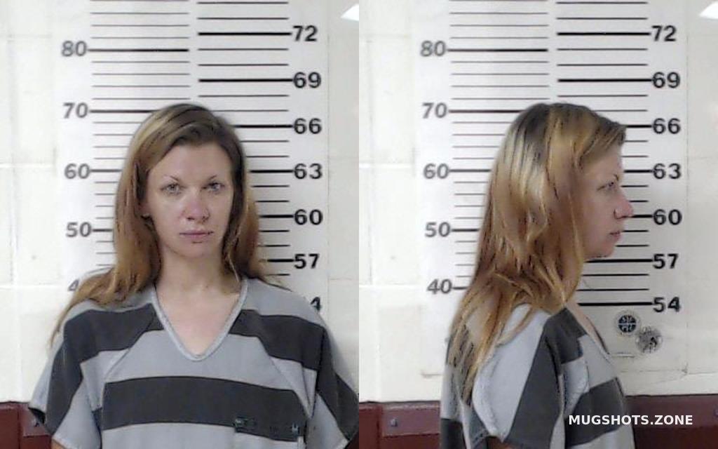 JEWETT SAMANTHA KELLY 04/25/2024 - Henderson County Mugshots Zone