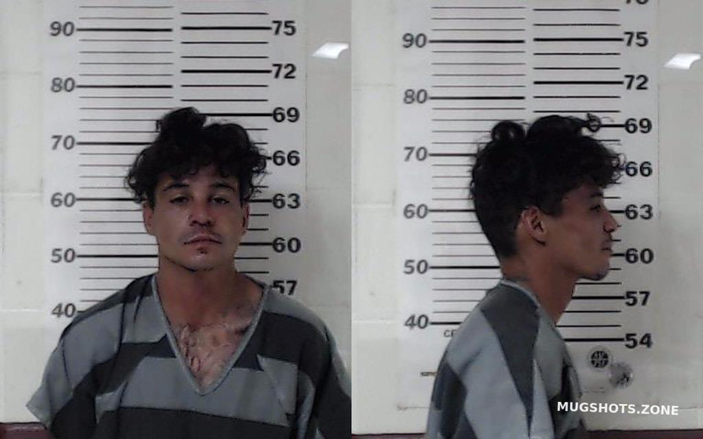 STARNES CORY JOE 05/05/2024 - Henderson County Mugshots Zone
