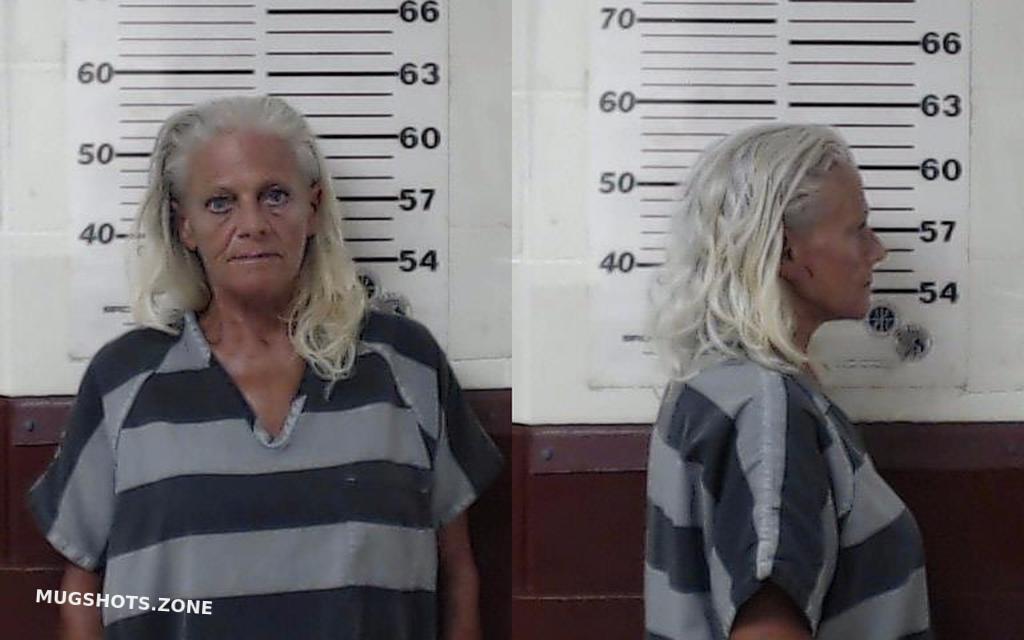 BATCHELOR HOLLY ELIZABETH 05/16/2024 - Henderson County Mugshots Zone