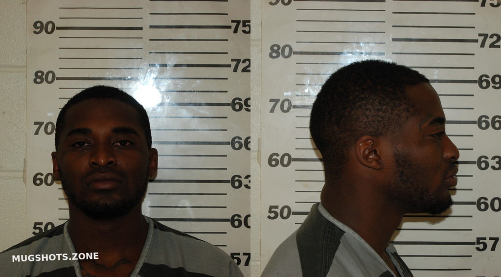 SCOTT TERRANCE DEONTA 05/20/2024 - Henderson County Mugshots Zone