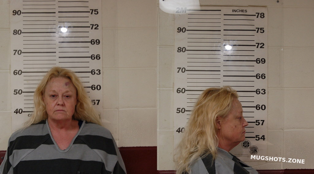 CHILDS PATRICIA ANN 05/28/2024 - Henderson County Mugshots Zone