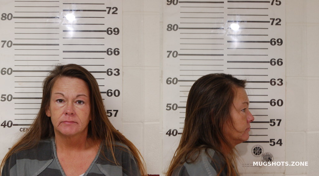 STEPHENS CRYSTAL GAIL 06/09/2024 - Henderson County Mugshots Zone