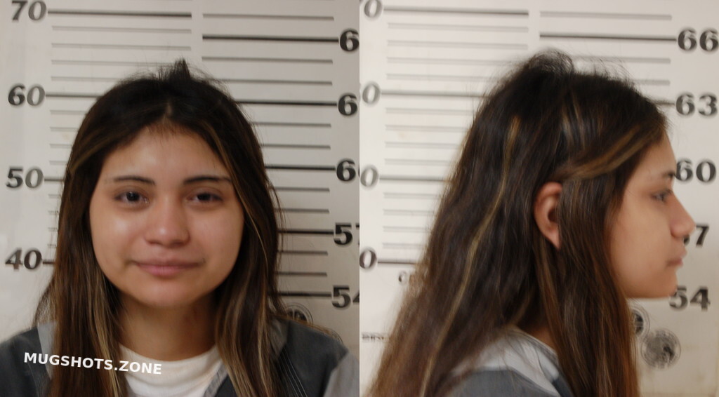 MARTINEZ LISA MARIE 06/21/2024 - Henderson County Mugshots Zone