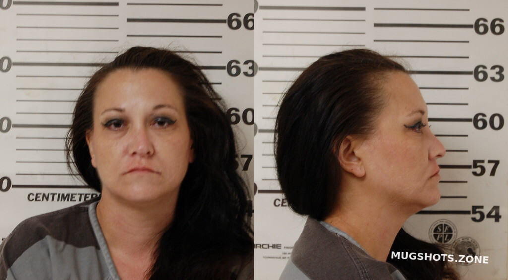 WARREN STEPHANIE JEAN 06/21/2024 - Henderson County Mugshots Zone